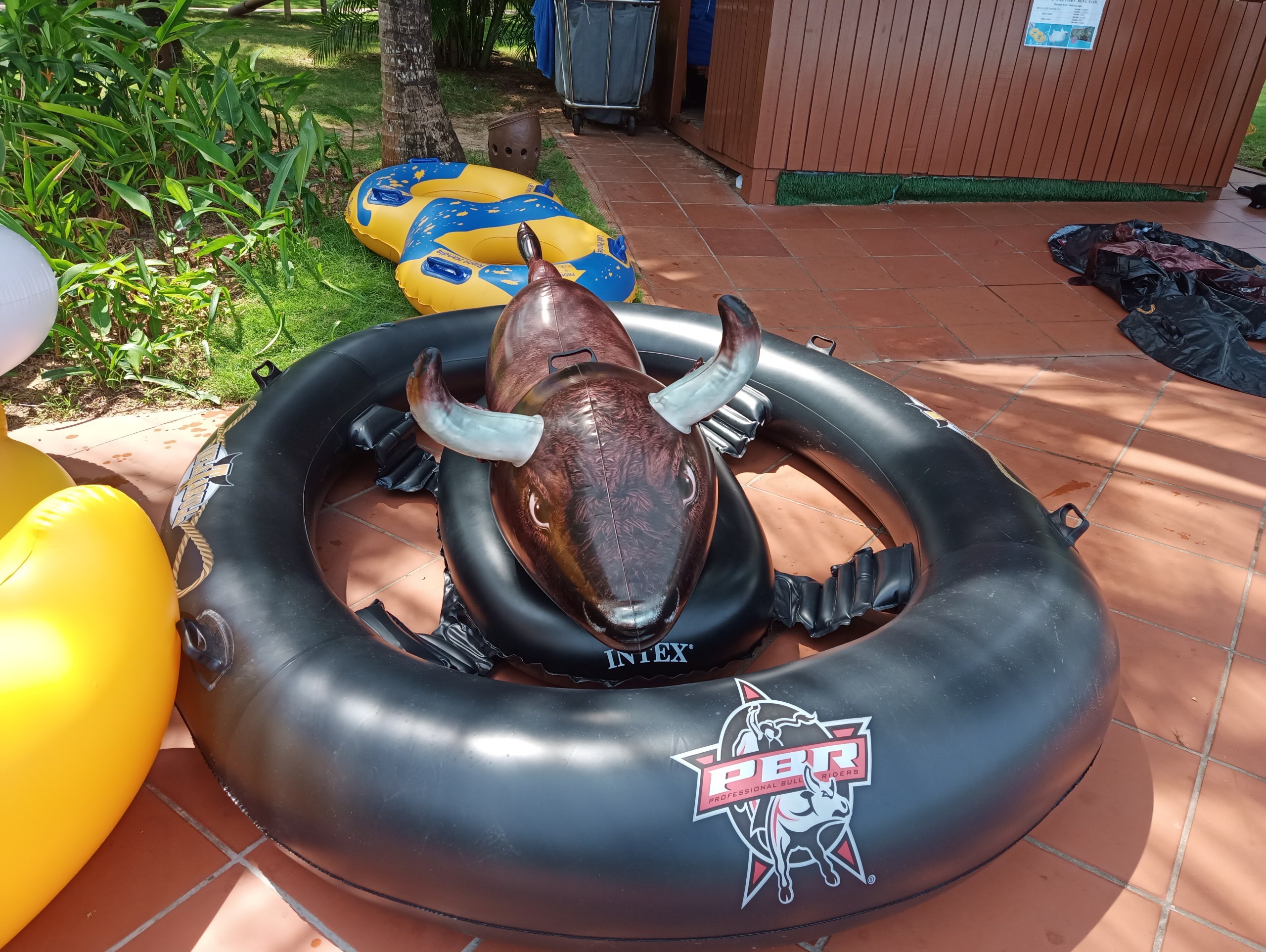 Phao bơi bò tót INTEX 56280