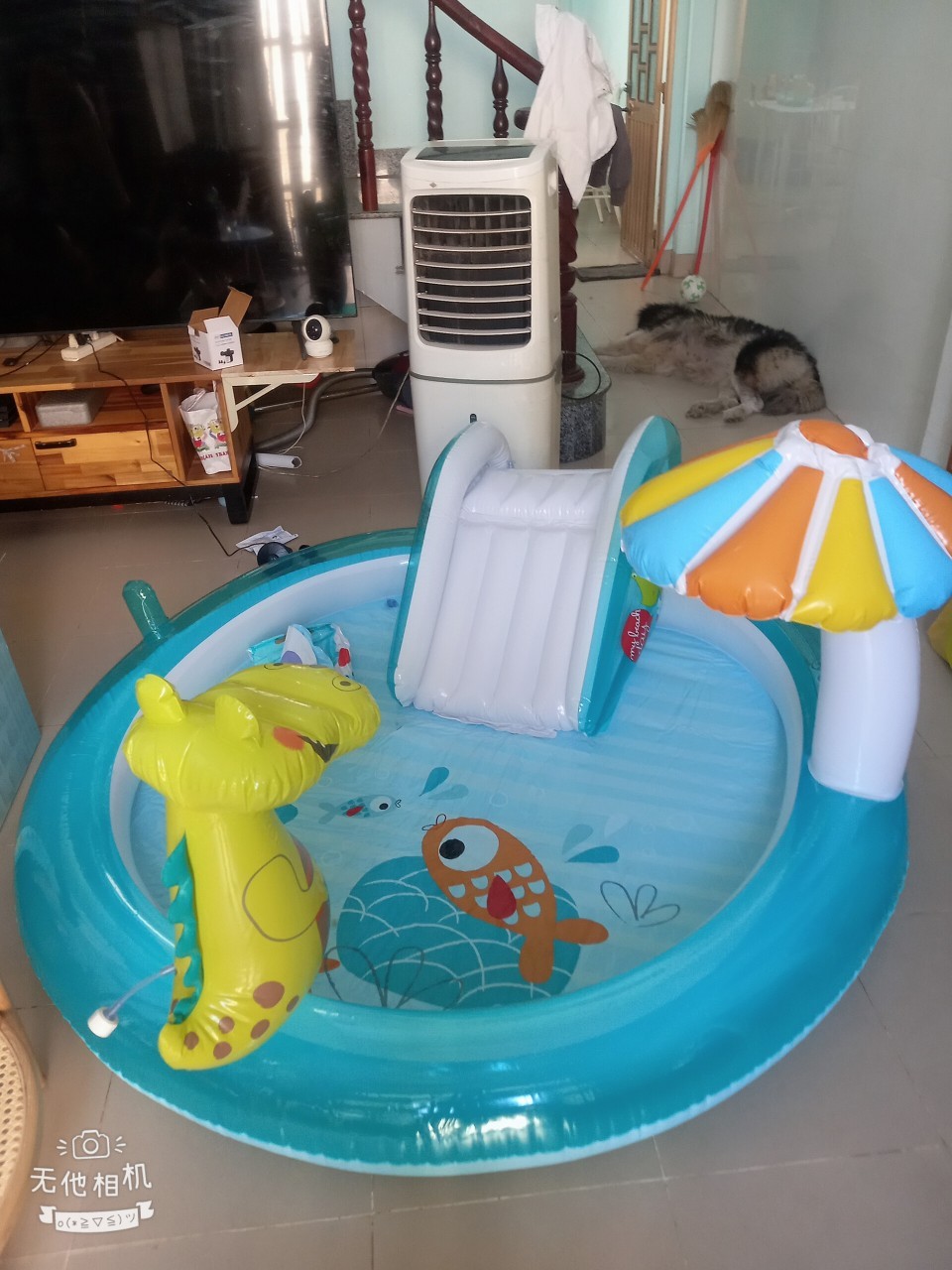 Bể bơi phao cầu trượt cá sấu có vòi phun mưa Intex 57165 - Intex Việt Nam