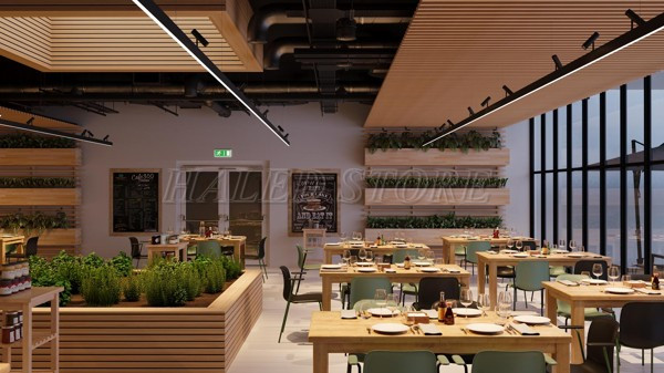 Đèn LED rọi ray: Các loại đèn Track light và Cách sử dụng chúng