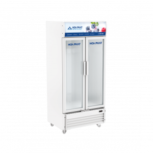 Tủ mát trưng bày Hòa Phát 1 ngăn 2 cánh HSR D6526