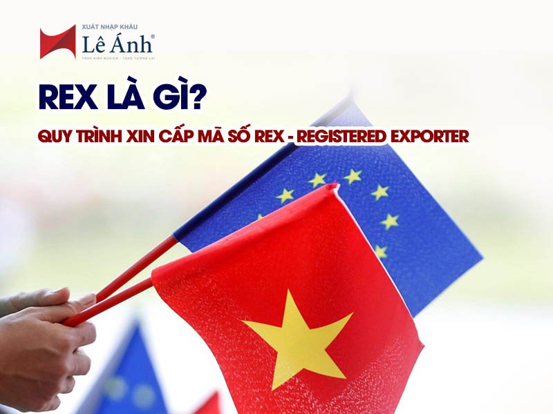 REX Là Gì? Quy Trình Xin Cấp Mã Số REX - Registered Exporter