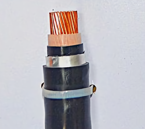 Cáp điện hạ thế có bảo vệ Cadivi CXV/DATA-300-600V(1KV) chính hãng giá ...