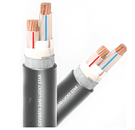 Cáp điện hạ thế 2 lõi có bảo vệ Cadivi CXV/DSTA-2x300-600V(1KV) chính ...