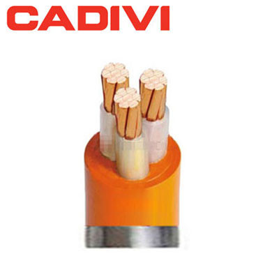 Cáp điện hạ thế chậm cháy 3 lõi Cadivi CXV/FRT-3x300-600V(1KV) chính ...