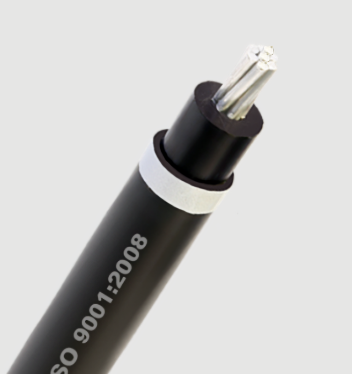 Cáp trung thế Cadisun AXV 1x35-5.5 chính hãng giá tốt nhất Super MRO