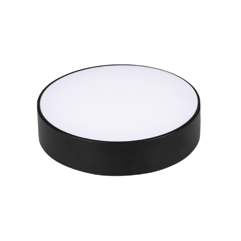 Đèn Led Downlight ốp trần tràn viền thân tròn màu đen MPE SRDLB-24T 24W ...