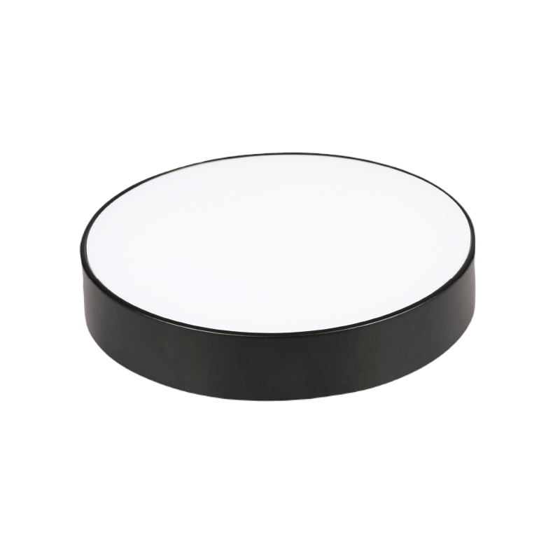 Đèn Led Downlight ốp trần tràn viền thân tròn màu đen MPE SRDLB-32V 32W ...